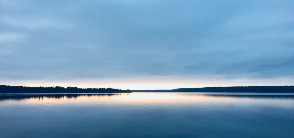 The 2020 Census at Red Lake Nation - Native Governance Center